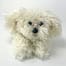 Bella – Palliative Puffs